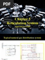 Chap5 Gas Reticulation System | PDF | Natural Gas | Pressure