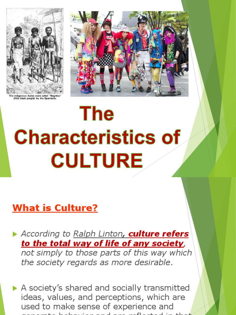Key Characteristics of Culture | PDF | Society | Family