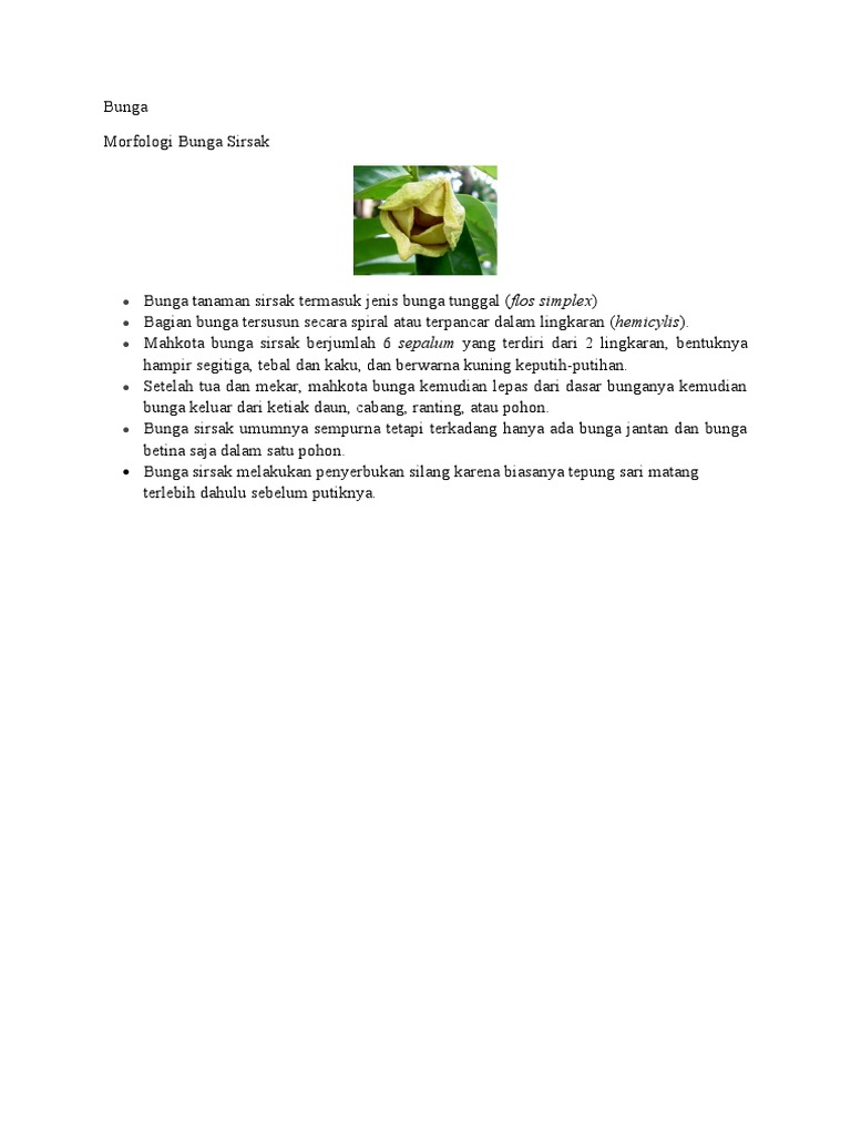 Bunga Sirsak | PDF