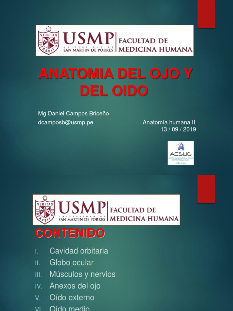 Presentacion de Ojo y Oido PDF | PDF | Ojo humano | Anatomía de los ...