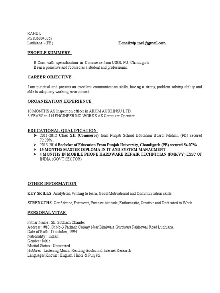Rahul CV | PDF