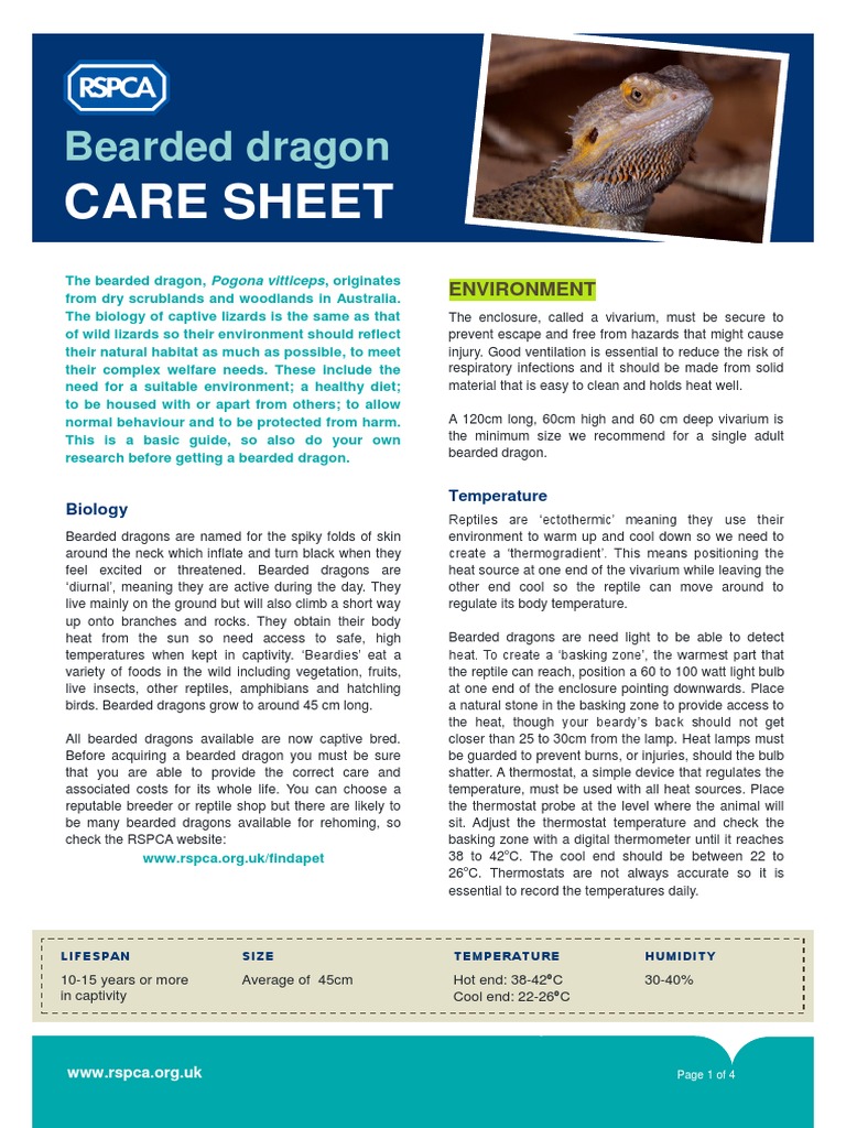 Bearded Dragon Care Sheet | PDF | Vivarium | Ultraviolet