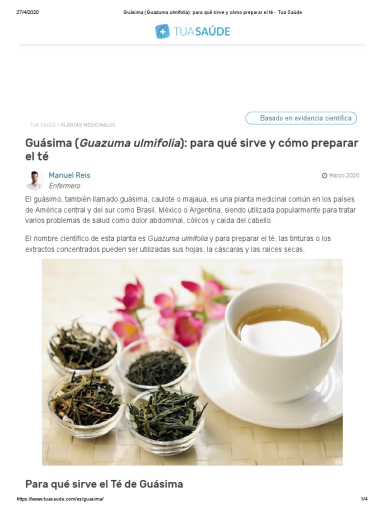 Guásima (Guazuma Ulmifolia) - para Qué Sirve y Cómo Preparar El Té ...