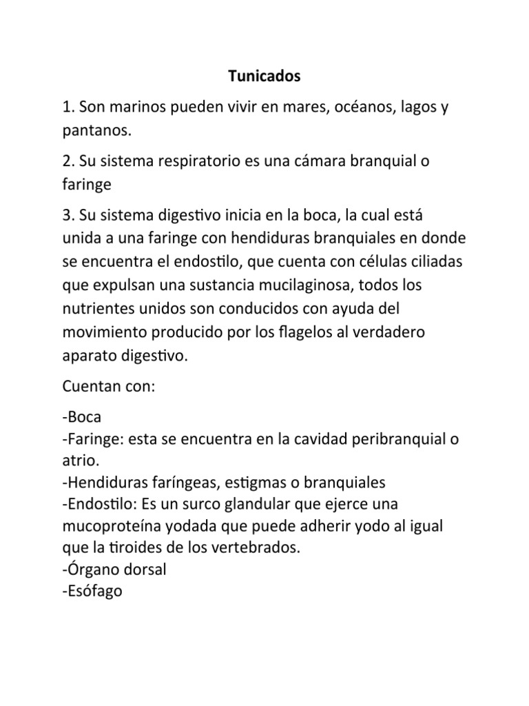 Características y Hábitos de los Tunicados | PDF | Organismos | Anatomía