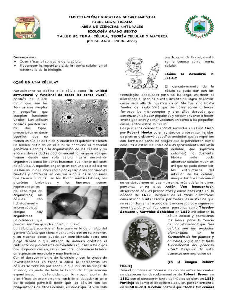 6° Taller 1. Célula y Teoría | PDF | Biología Celular) | Organismos