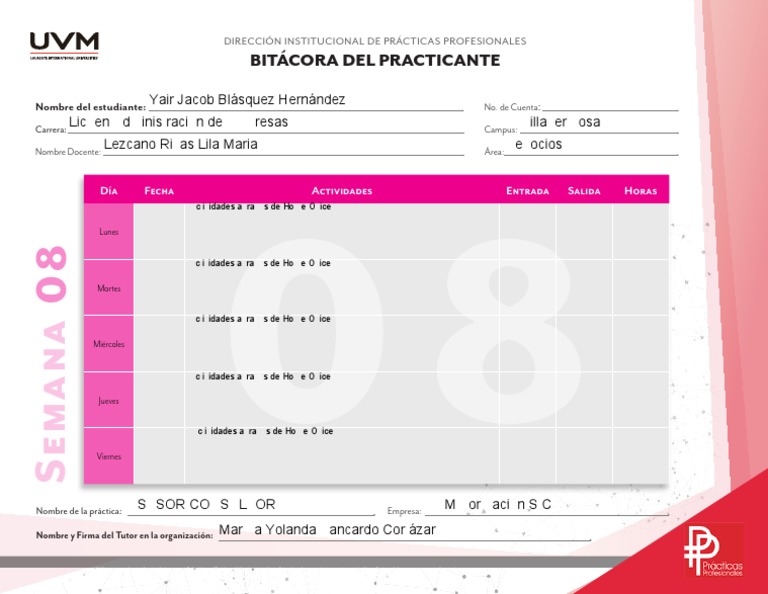 Bitacora 8 Terminada PDF | PDF