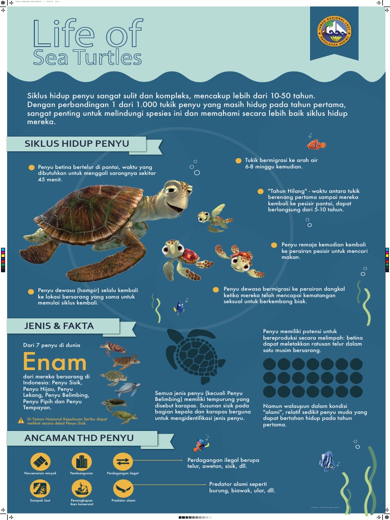 Poster Infographis Penyu - RGB | PDF