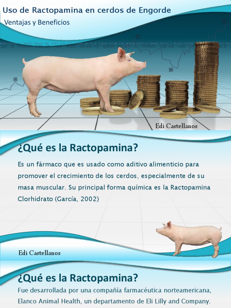 Ractopamina PDF | PDF | Músculo | Tejido adiposo