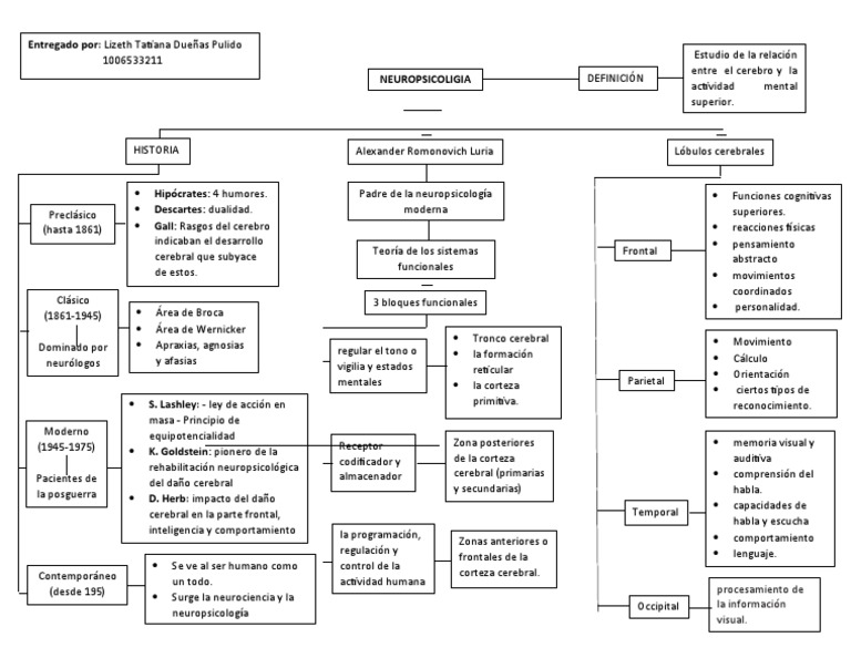 Mapa Conceptual Neuro | PDF | Neurociencia conductual | Cerebro