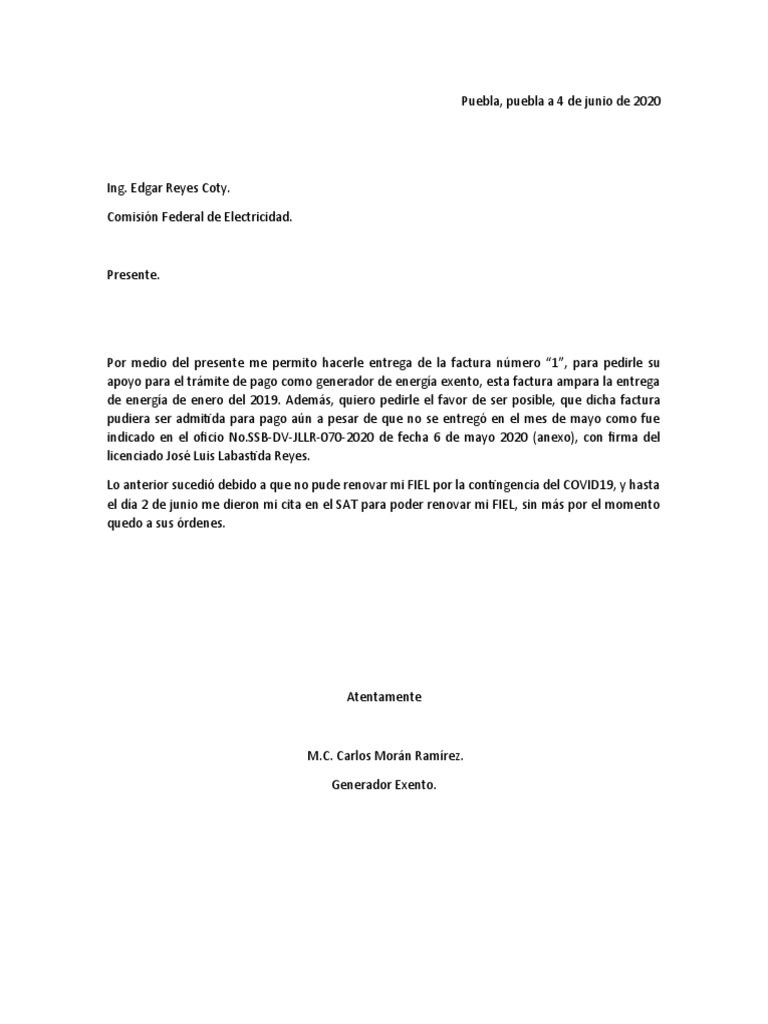 Formato de Solicitud de Pago, Generador Exento CMR | PDF