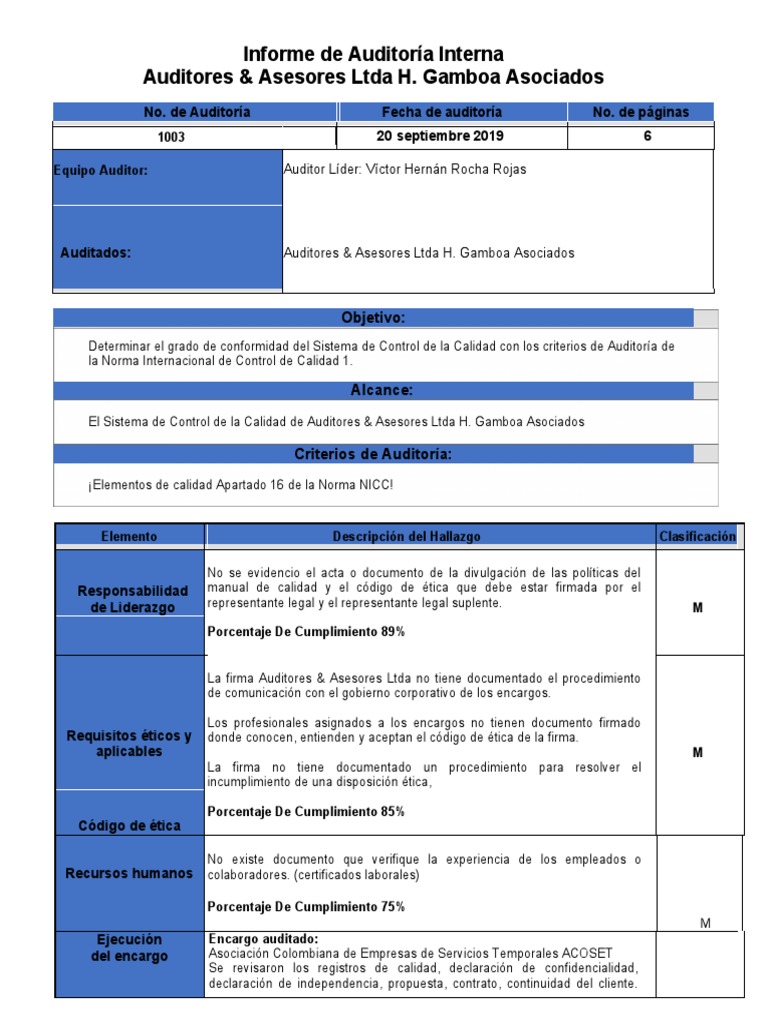 Informe de Auditoria Interna | PDF | Auditoría | Gestión de recursos humanos