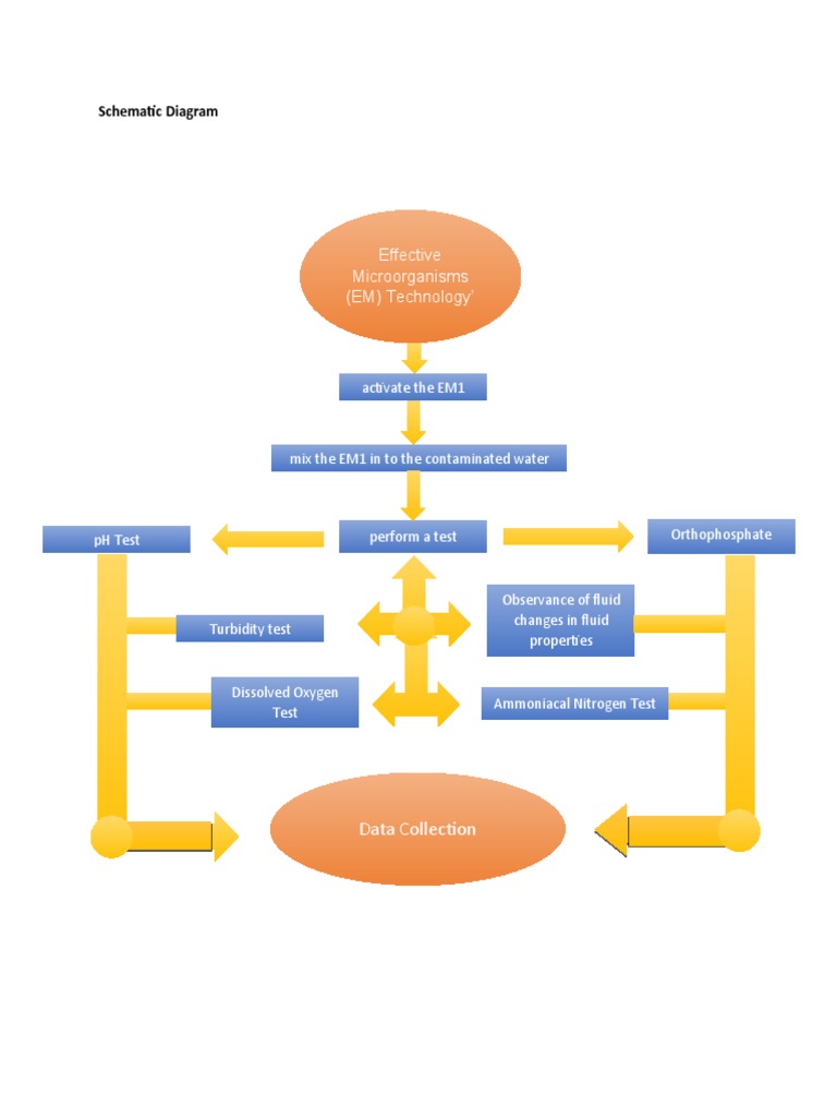 Schimatic Diagram For Fluid | PDF