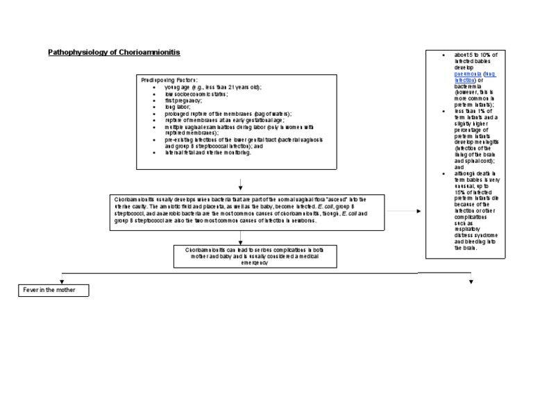 Pathophysiology of Chorioamnionitis: Predisposing Factors | PDF ...