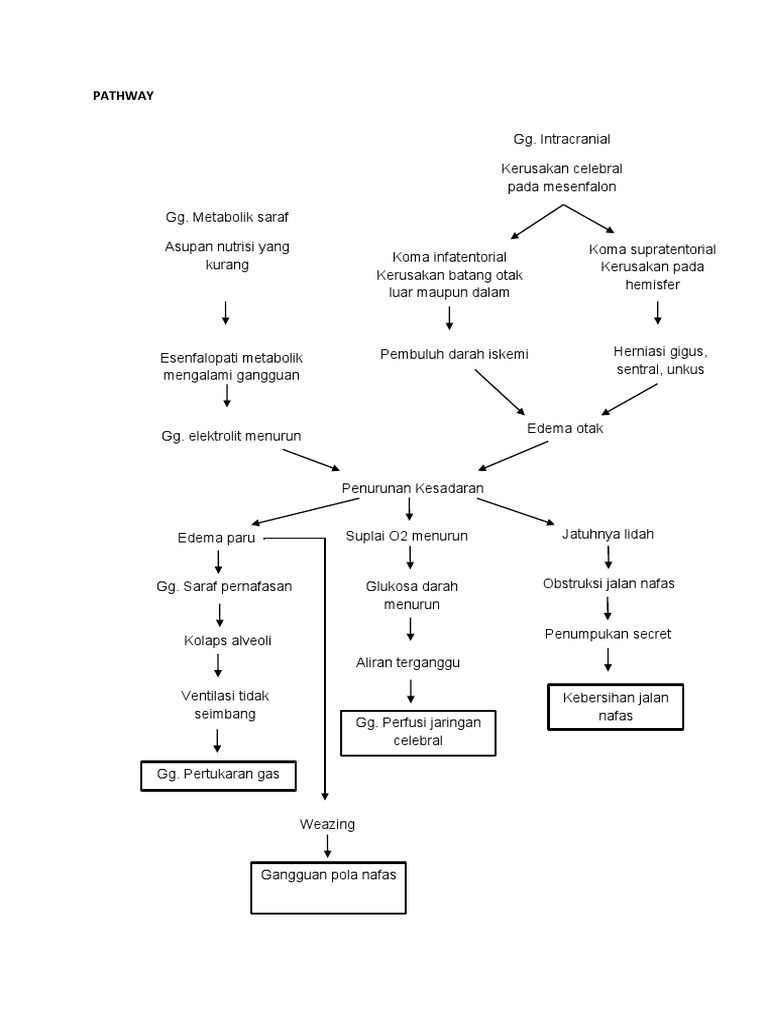 Pathway Penurunan Kesadaran | PDF