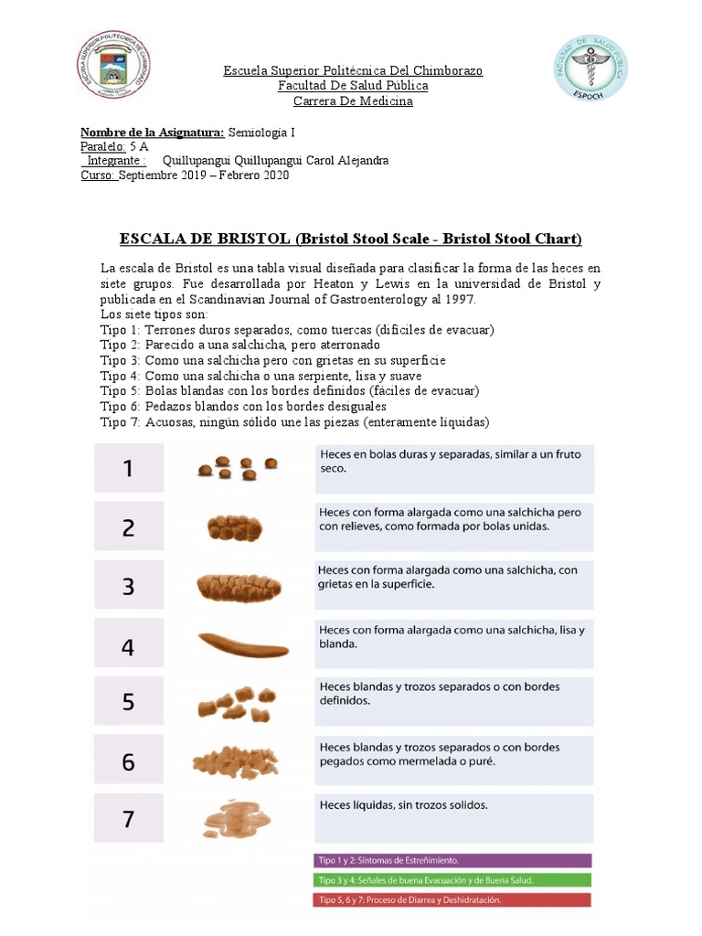 Escala de Bristol | PDF