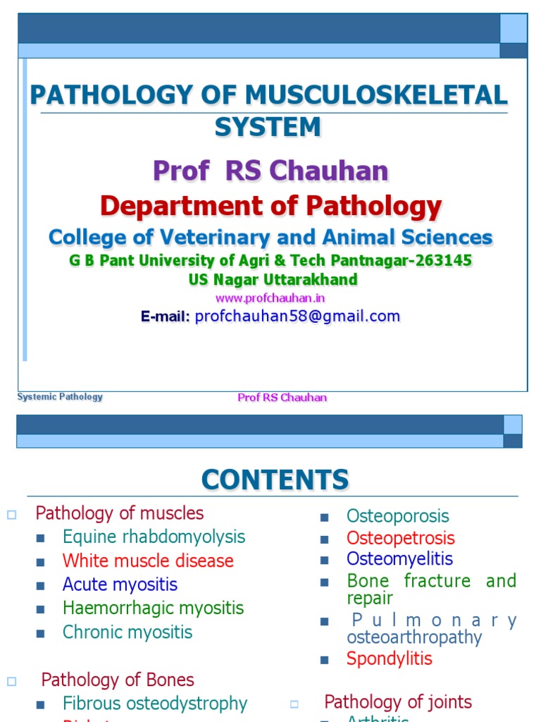 A Comprehensive Guide to the Pathology of the Musculoskeletal System ...