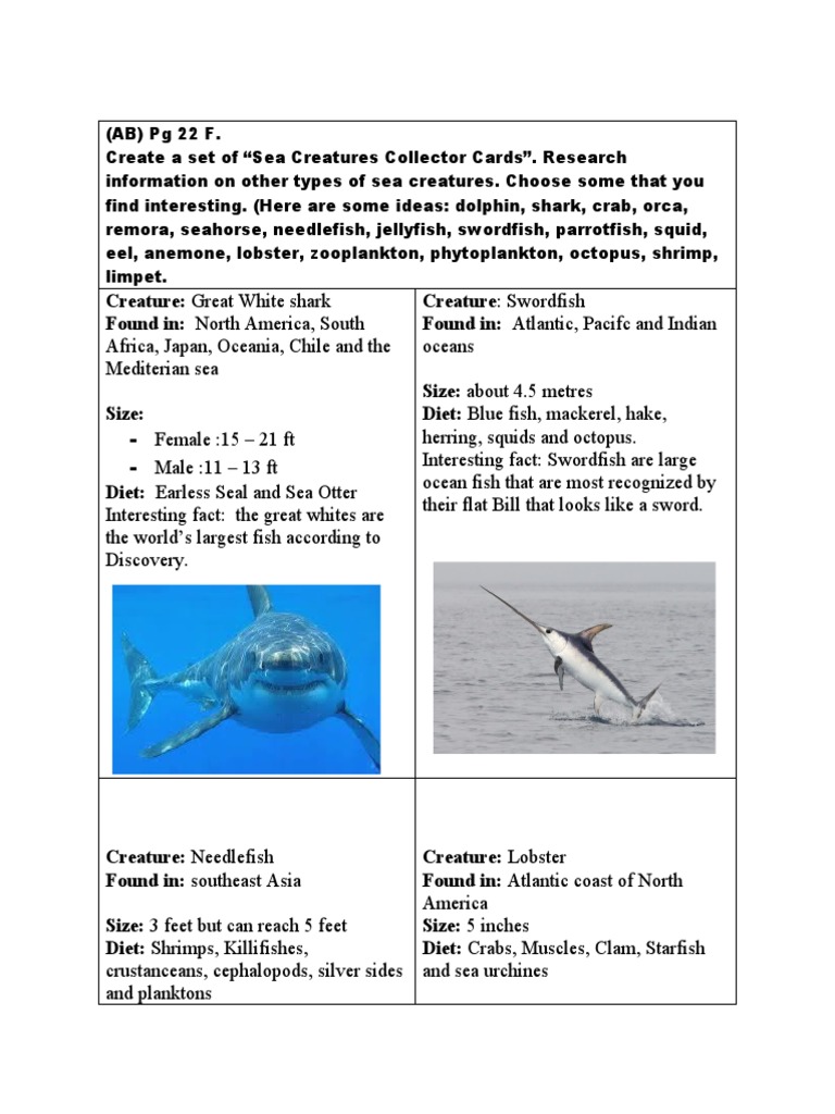 English - Sea Creature Flash Cards | PDF