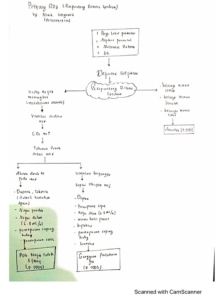 Pathway RDS Oleh Nanik | PDF