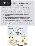 POGIL Activities For AP Biology - Cell Cycle and Regulation | PDF ...