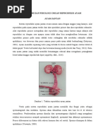 LAPRAK Morfologi Dan Anatomi Ayam | PDF