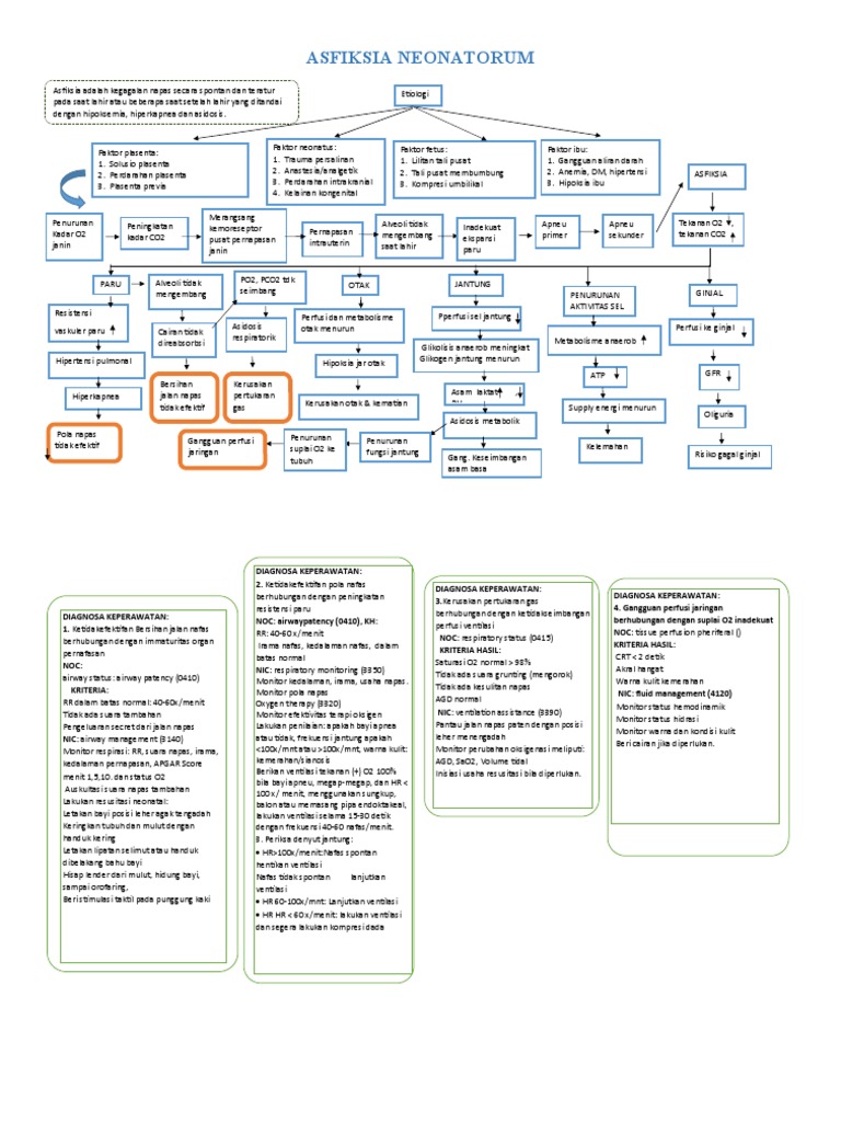 RESUSITASI NEONATUS MATERI/woc Asfiksia | PDF