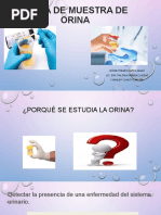 Protocolo de Técnica de Aseo Perineal Femenino | PDF | Higiene | Lavado ...
