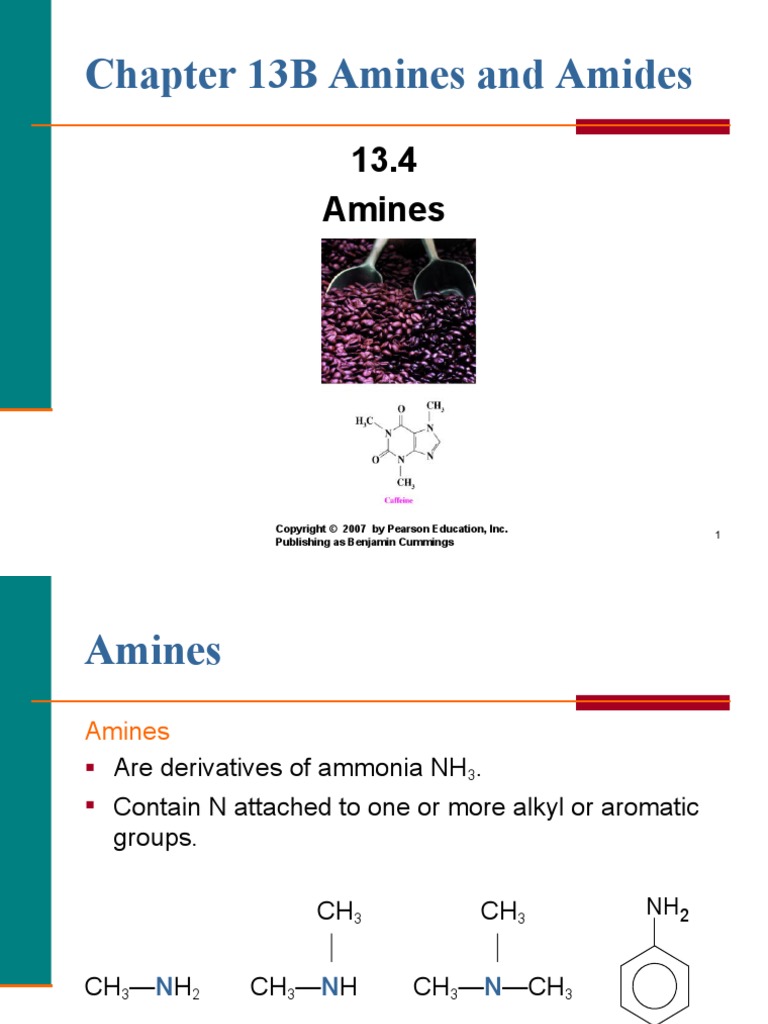 13B CH110 Amines & Amides Timberlake | PDF | Amine | Amide