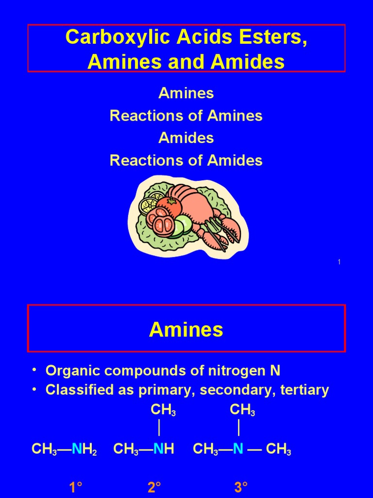 Carboxylic Acids Esters, Amines and Amides: Amines Reactions of Amines Amides Reactions of ...
