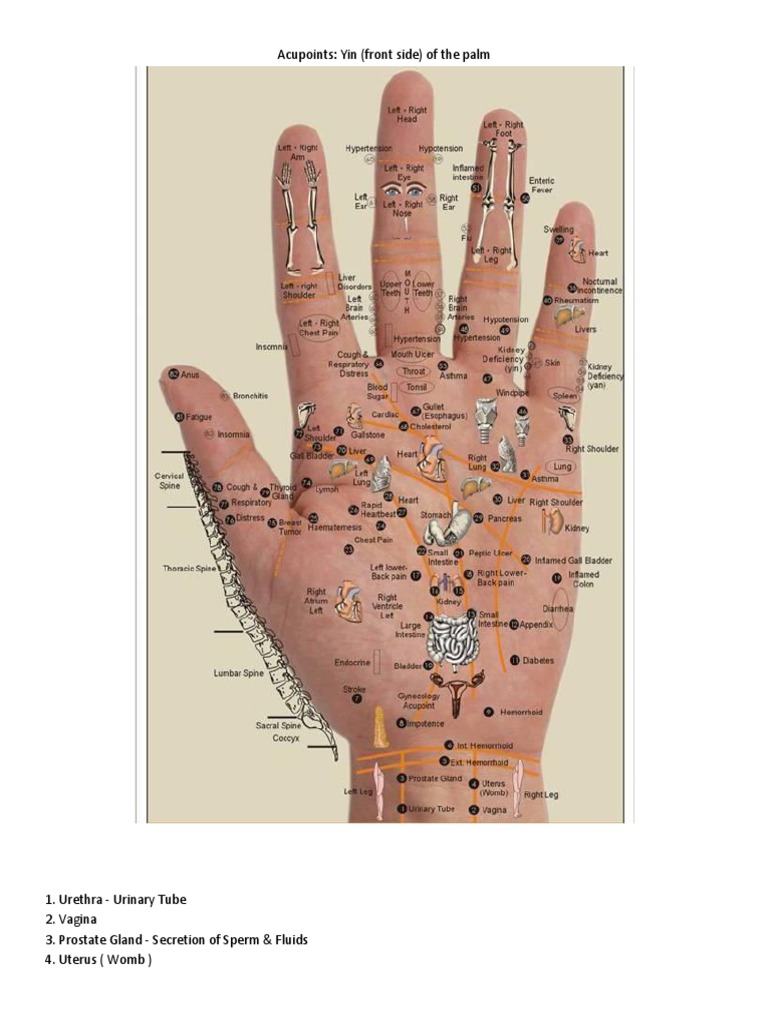 Acupoints - One Point PDF | PDF | Cough | Esophagus