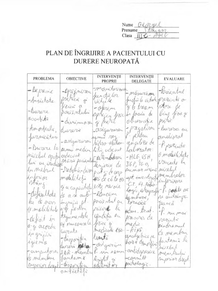 Plan de Ingrijire PDF | PDF