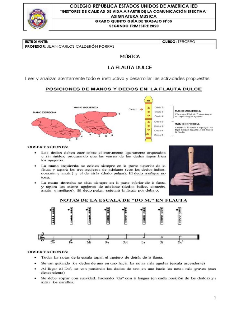 Guía Flauta Dulce y Construcción PVC | PDF | Flauta | Notación musical