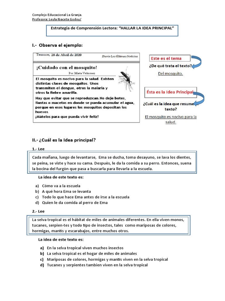 Idea principal estrategia comprensión lectora | PDF