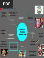 Mapa Conceptual Diversidad Cultural | PDF | Interculturalidad | Educacion Cultural