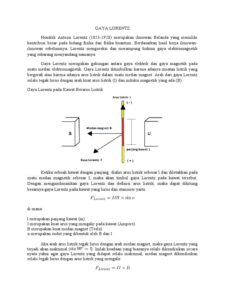 Gaya Lorentz | PDF