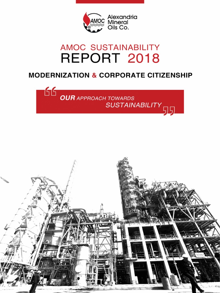 Sustainability Report | PDF | Sustainability | Sustainable Development
