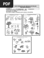 Guía N°3 Partes y Necesidades de Una Planta Ciencias Naturales Tercero ...