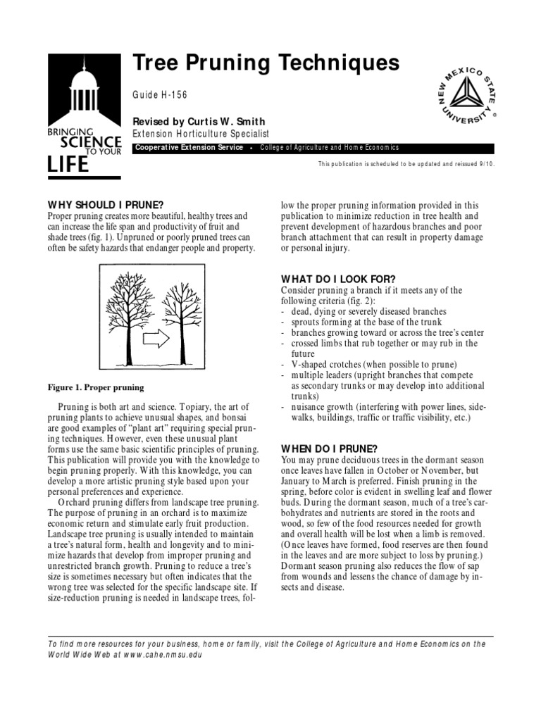 Tree Pruning Techniques | PDF | Pruning | Trees