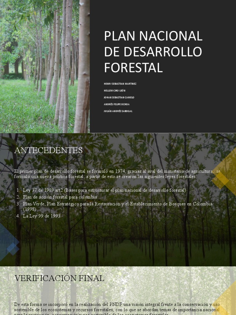 PLAN NACIONAL DE DESARROLLO FORESTAL Presentación | PDF | Los bosques ...