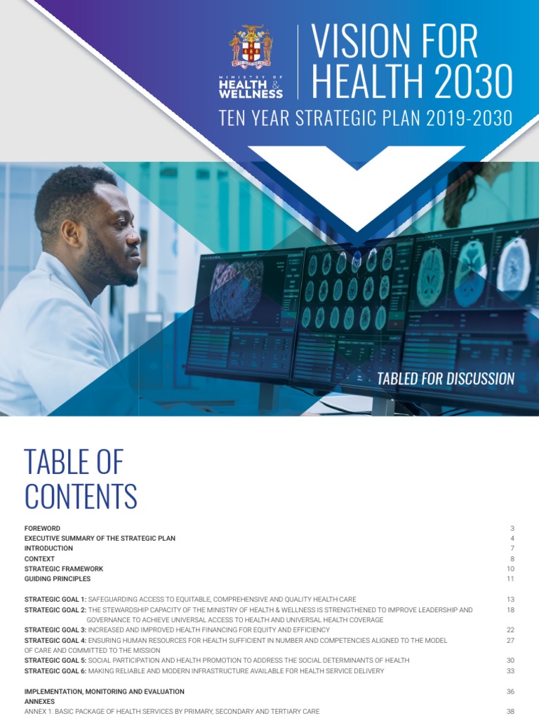 Vision For HEALTH 2030: Ten Year Strategic Plan 2019-2030 | PDF | Goal ...
