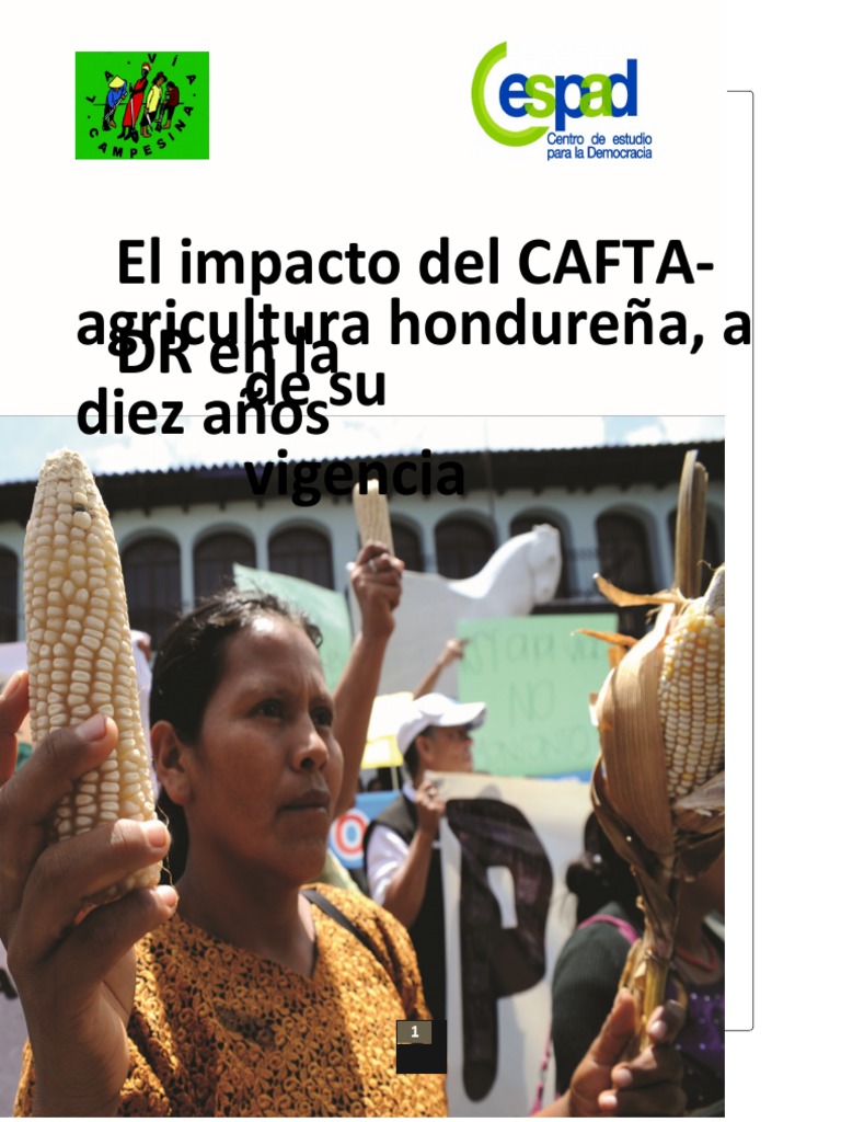 El Cafta en Honduras. Informe | PDF | Honduras | Agricultura