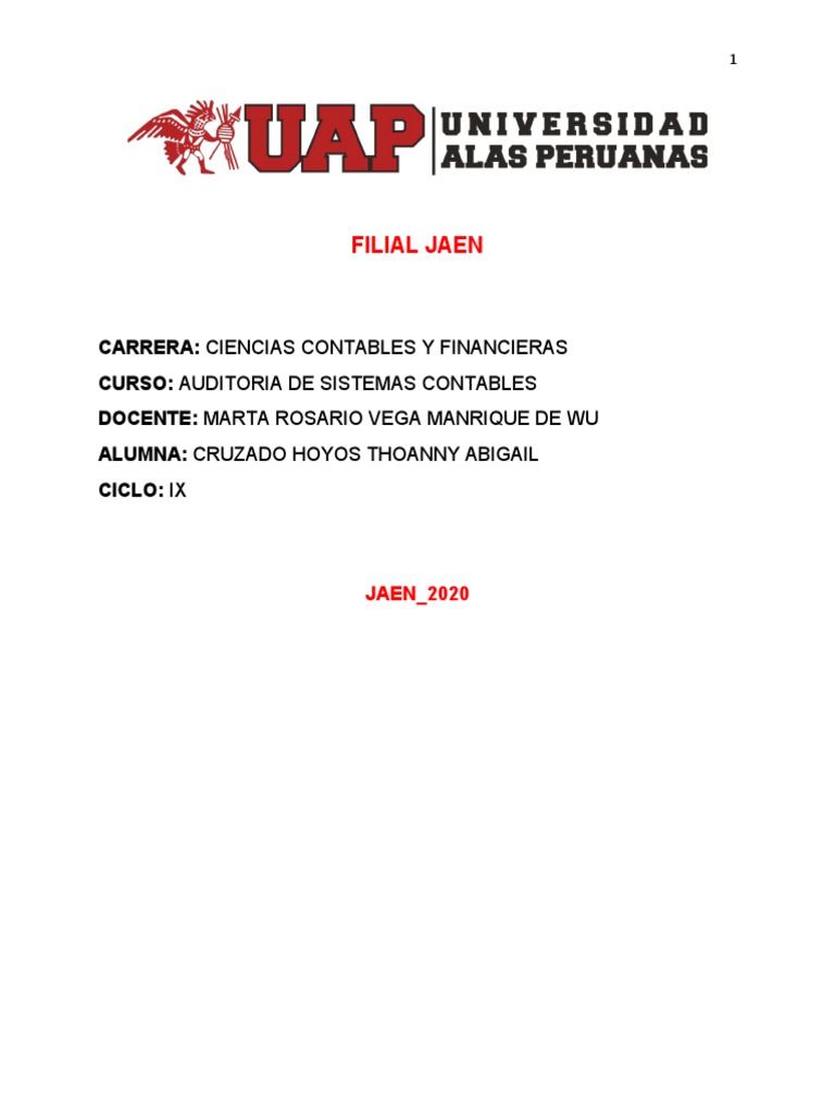 Auditoría de Sistemas - Thoani | PDF | Auditoría | Business