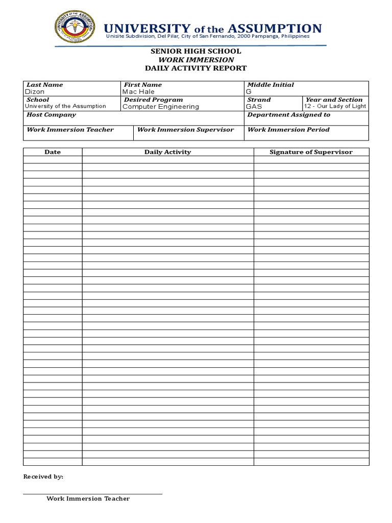 Daily Activity Report for Work Immersion | PDF