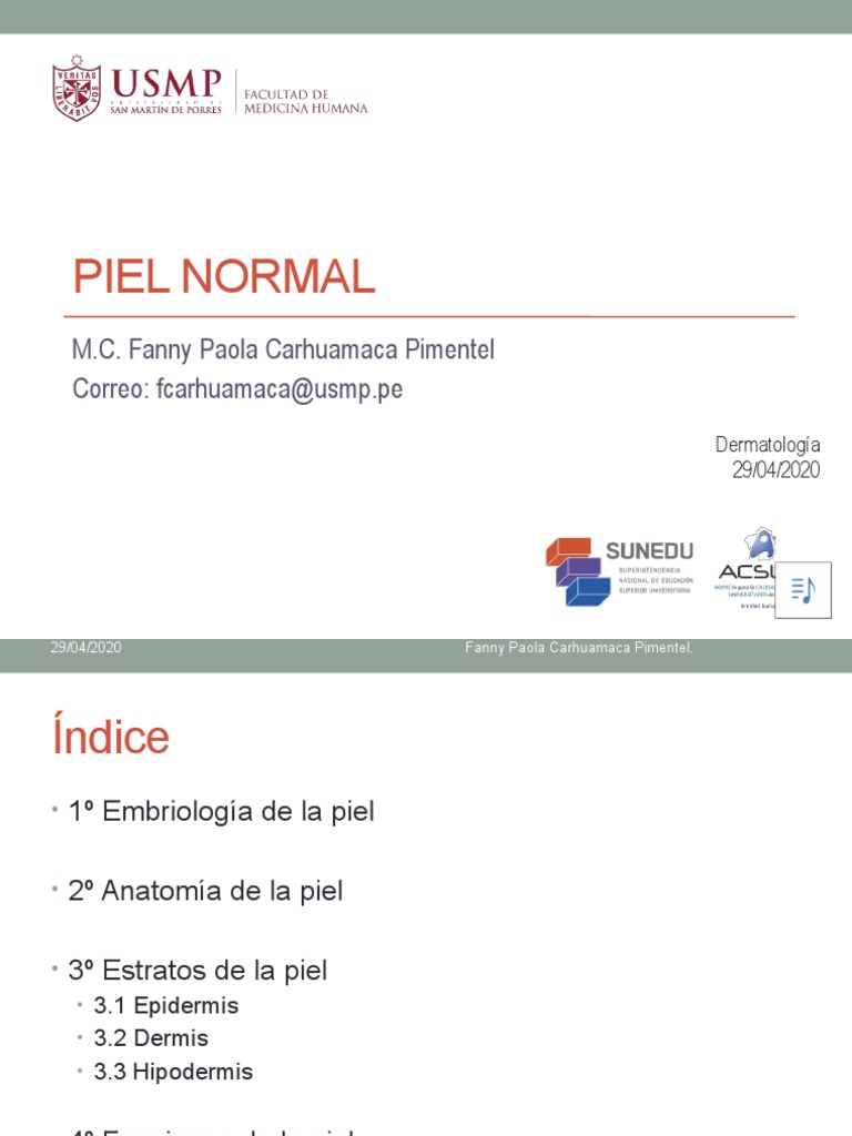 1ra Clase Piel Normal | PDF | Epidermis | Órganos sensoriales