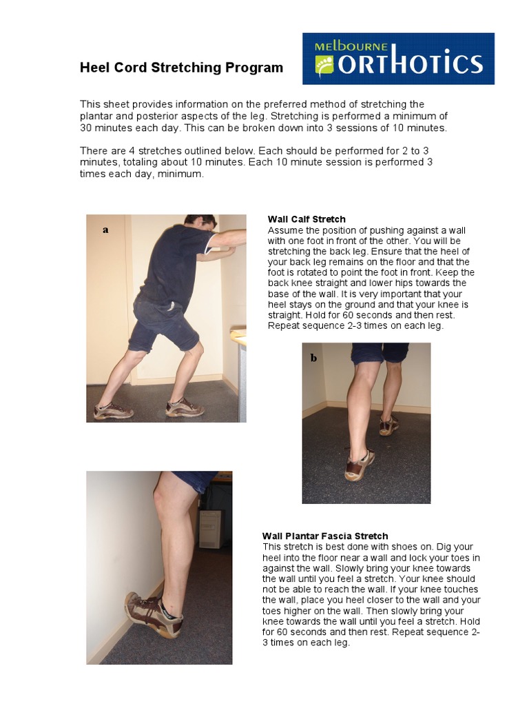 Heel Cord Stretching Program | PDF | Foot | Human Anatomy