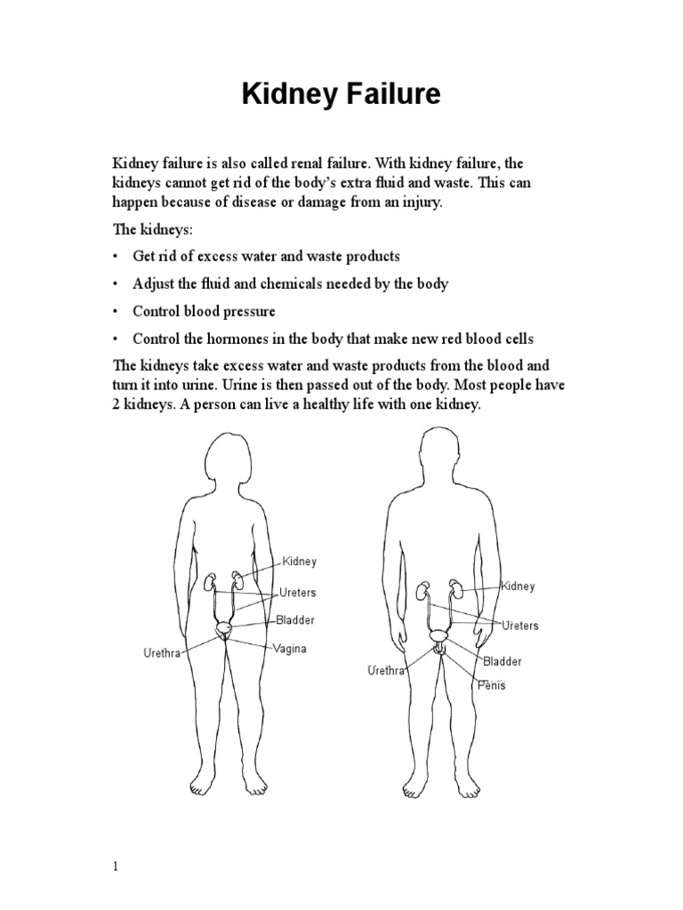 Kidney Failure PTB | PDF | Kidney | Systemic Lupus Erythematosus
