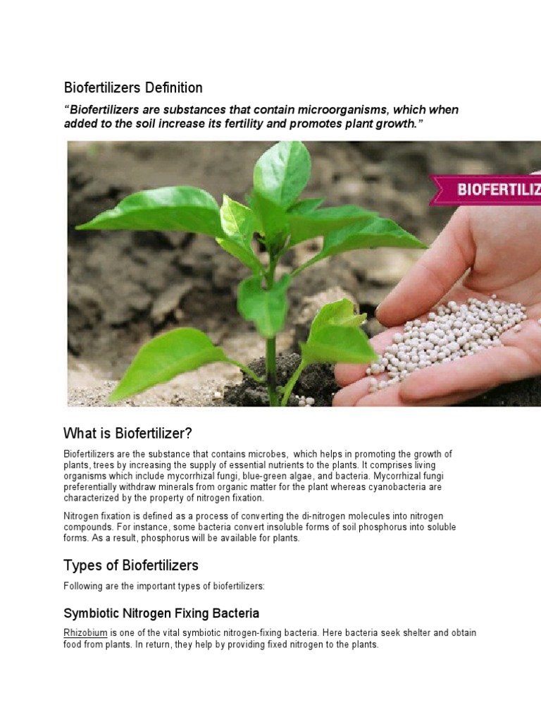 Biofertilizers Definition | PDF | Fertilizer | Soil