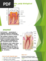 Dej and Its Signifance | PDF | Dentin | Tooth Enamel