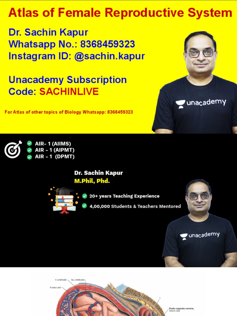 Female Reproductive System Atlas | PDF