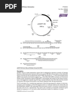 Ubc Issr Primer Set | PDF | Dna | Nucleic Acids
