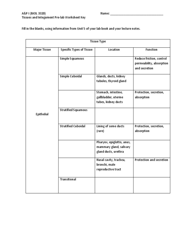 Tissues and Integument Pre-lab Key | PDF | Integumentary System ...